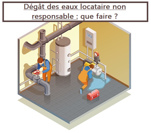 Dégât des eaux locataire non responsable : que faire ? | Droits.fr